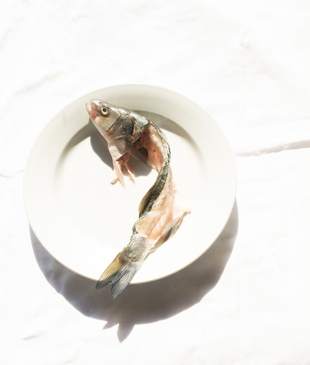 A Bloody Fish Story – CYNTHIA D. BERTELSEN