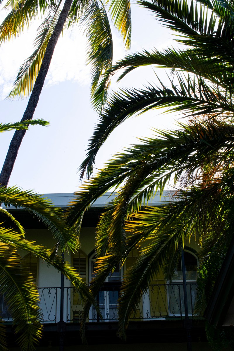 In Ernest Hemingway’s Key West Kitchen – CYNTHIA D. BERTELSEN