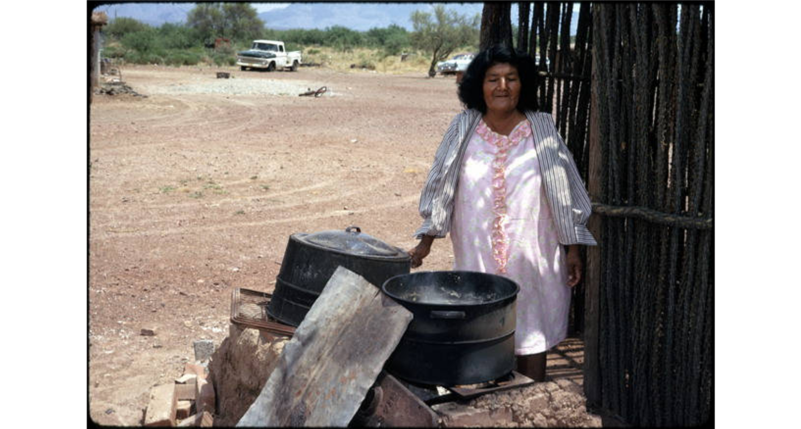 Cuisine in Arizona’s Sonoran Desert: Cholla Buds – CYNTHIA D. BERTELSEN